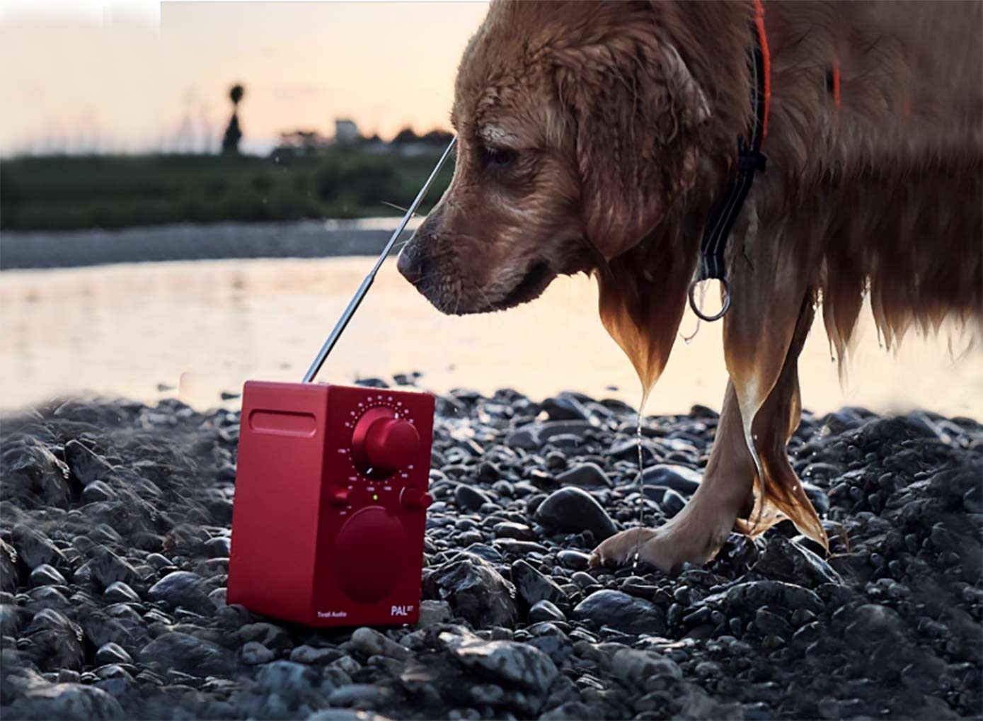 What do I do if I have reception issues? – Tivoli Audio New Zealand